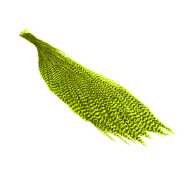 Wapsi Ewing Grizzly Half Capes Chartreuse | Materiały muchowe \ Pióra ...