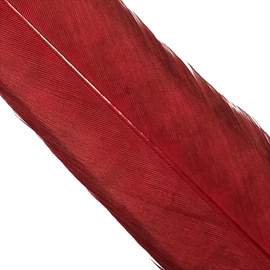 Hends Pheasant Tail 95 Fluo Red | Materiały muchowe \ Pióra \ Ogony ...