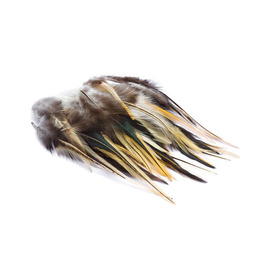 BG Kogut Pióra Siodłowe Badger | Materiały muchowe \ Pióra \ Pióra ...