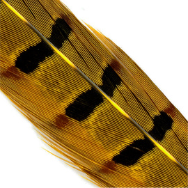 Hends Pheasant Tail 29 Lt. Olive | Materiały muchowe \ Pióra \ Ogony ...